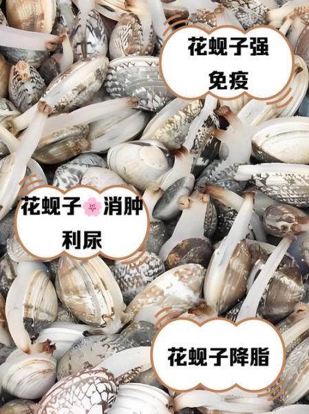 蚬子的营养价值_吃蚬子有什么好处-第1张图片-山城妙识