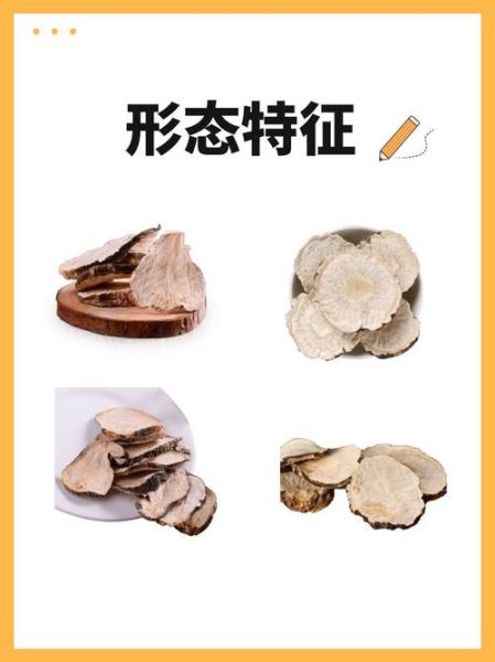 玛卡为什么不能晚上吃_玛卡晚上吃会失眠吗-第2张图片-山城妙识 玛卡为什么不能晚上吃_玛卡晚上吃会失眠吗-第2张图片-山城妙识