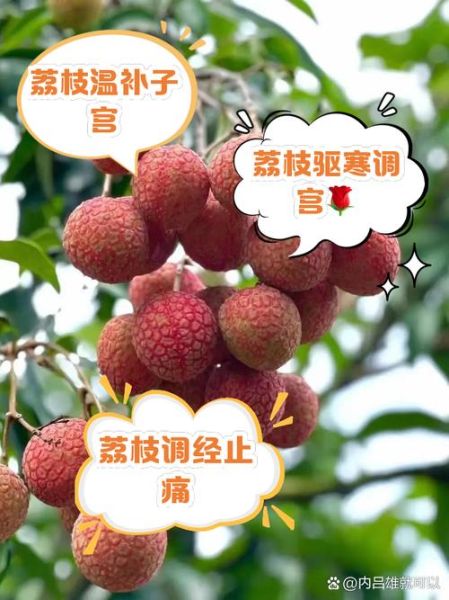 孕妇可以吃荔枝吗中期_孕中期吃荔枝注意事项-第1张图片-山城妙识