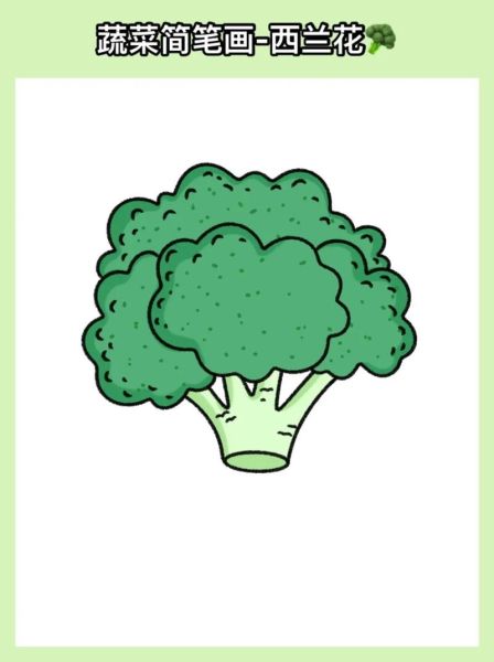 西兰花简笔画怎么画_西兰花图片简笔画教程-第1张图片-山城妙识 西兰花简笔画怎么画_西兰花图片简笔画教程-第1张图片-山城妙识