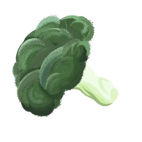 西兰花简笔画怎么画_西兰花图片简笔画教程-第3张图片-山城妙识 西兰花简笔画怎么画_西兰花图片简笔画教程-第3张图片-山城妙识