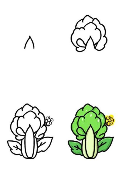 西兰花简笔画怎么画_西兰花图片简笔画教程-第2张图片-山城妙识 西兰花简笔画怎么画_西兰花图片简笔画教程-第2张图片-山城妙识
