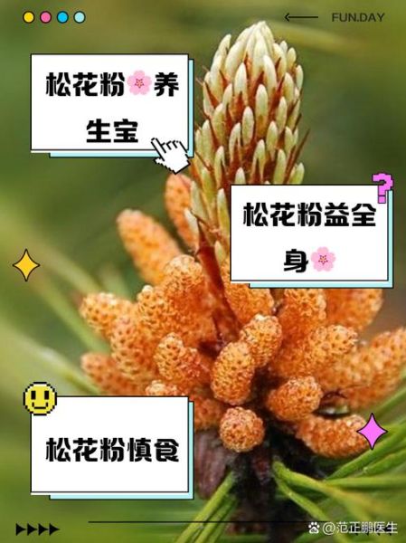 吃松花粉的好处与禁忌_松花粉适合什么人吃-第3张图片-山城妙识 吃松花粉的好处与禁忌_松花粉适合什么人吃-第3张图片-山城妙识
