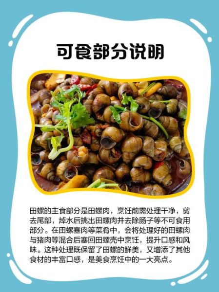 田螺怎么吃正确_田螺怎么吃图解-第1张图片-山城妙识