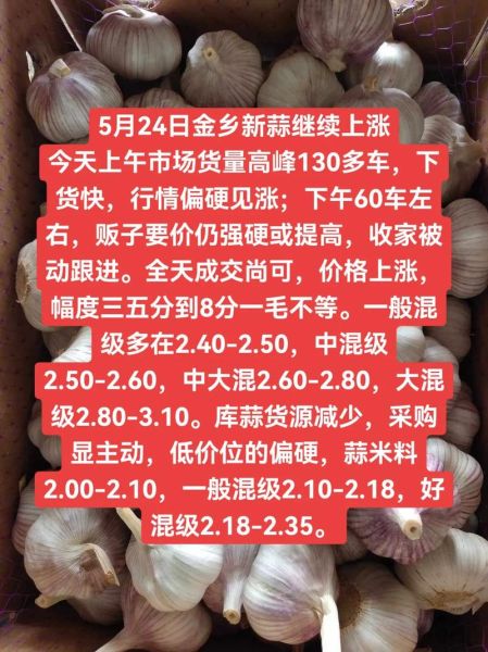 今日金乡鲜大蒜价格_金乡大蒜最新行情-第3张图片-山城妙识