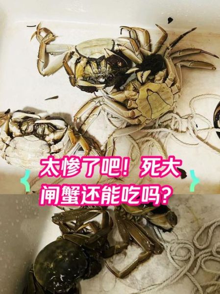 螃蟹死的当天可以吃吗_死蟹当天食用安全吗-第2张图片-山城妙识 螃蟹死的当天可以吃吗_死蟹当天食用安全吗-第2张图片-山城妙识