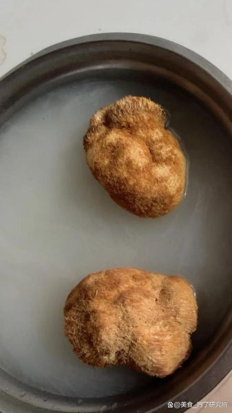 干货猴头菇怎么泡发_猴头菇怎么做好吃-第3张图片-山城妙识