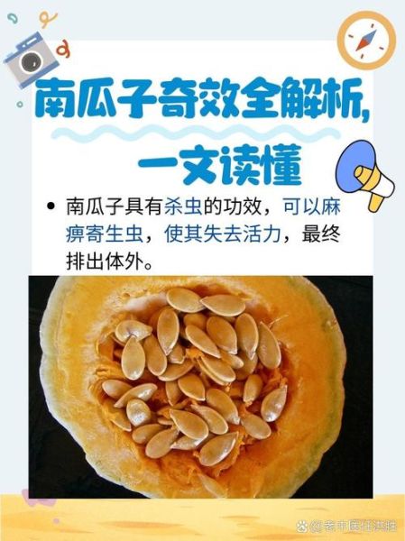 南瓜籽的功效与作用_南瓜籽怎么吃最营养-第3张图片-山城妙识