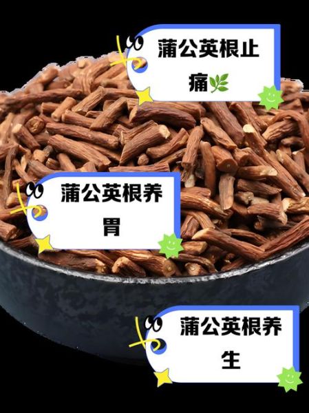 蒲公英泡水喝的功效与作用_长期喝有没有副作用-第3张图片-山城妙识