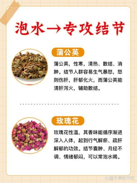 蒲公英泡水喝的功效与作用_长期喝有没有副作用-第2张图片-山城妙识