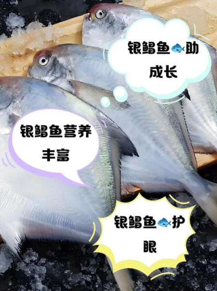 鲳鱼的营养价值_鲳鱼的功效与作用-第1张图片-山城妙识 鲳鱼的营养价值_鲳鱼的功效与作用-第1张图片-山城妙识