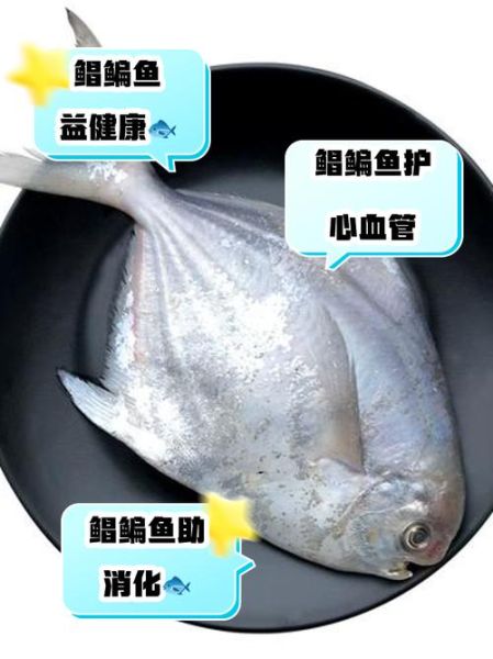 鲳鱼的营养价值_鲳鱼的功效与作用-第2张图片-山城妙识 鲳鱼的营养价值_鲳鱼的功效与作用-第2张图片-山城妙识