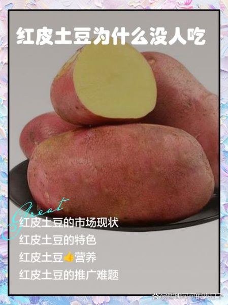 红皮土豆为什么没人吃_红皮土豆口感差吗-第1张图片-山城妙识