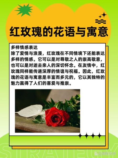 花语大全寓意_什么花代表爱情-第3张图片-山城妙识