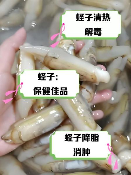 蛏子的鼻子是什么东西_蛏子鼻子能吃吗-第3张图片-山城妙识