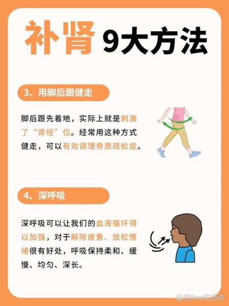 飞机打多了怎么调理_肾虚恢复方法-第3张图片-山城妙识 飞机打多了怎么调理_肾虚恢复方法-第3张图片-山城妙识