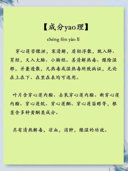 穿心莲的功效与作用_穿心莲怎么吃效果最好-第2张图片-山城妙识 穿心莲的功效与作用_穿心莲怎么吃效果最好-第2张图片-山城妙识