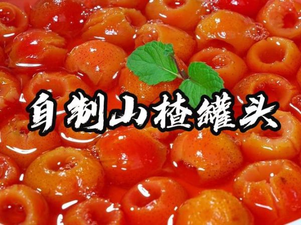 罐头水果汤的做法大全_如何煮出清爽不甜腻-第3张图片-山城妙识