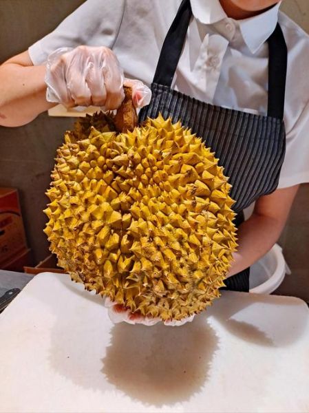 榴莲站长统计黄入口怎么找_榴莲站长统计黄入口安全吗-第1张图片-山城妙识