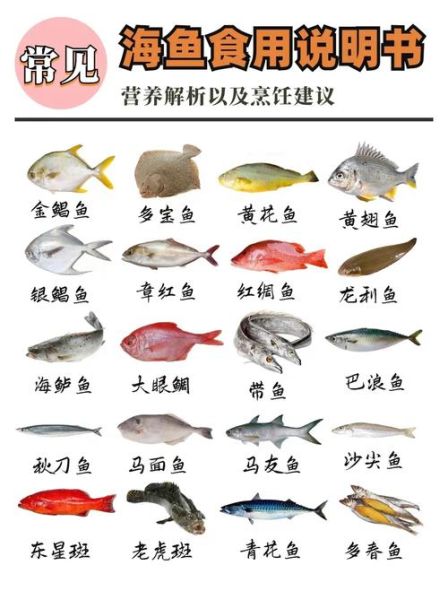 常见海鱼图片大全大图_如何快速识别海鱼品种-第2张图片-山城妙识