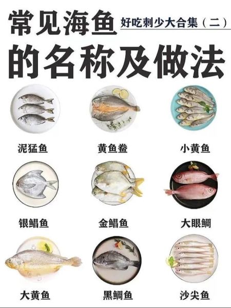 常见海鱼图片大全大图_如何快速识别海鱼品种-第3张图片-山城妙识
