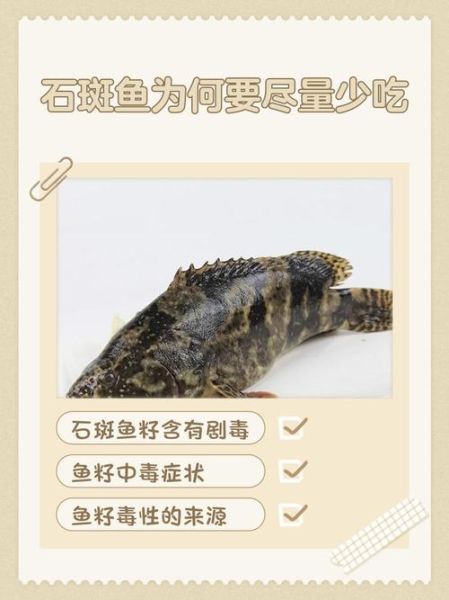石斑鱼为什么不能吃_石斑鱼有哪些危害-第1张图片-山城妙识 石斑鱼为什么不能吃_石斑鱼有哪些危害-第1张图片-山城妙识