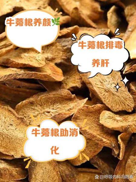 女人吃牛蒡有什么好处_牛蒡对女性的功效与作用-第1张图片-山城妙识