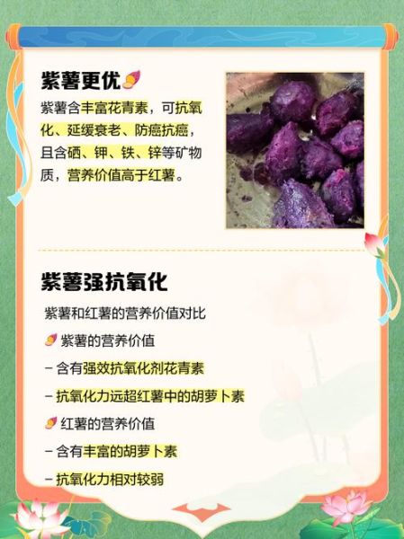 紫薯和红薯哪个营养价值高_紫薯与红薯的区别哪个更好-第2张图片-山城妙识