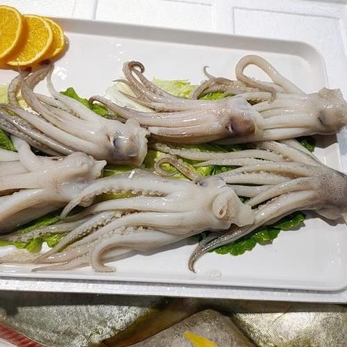 冰鲜鱿鱼头怎么做好吃_冰鲜鱿鱼头做法大全-第2张图片-山城妙识