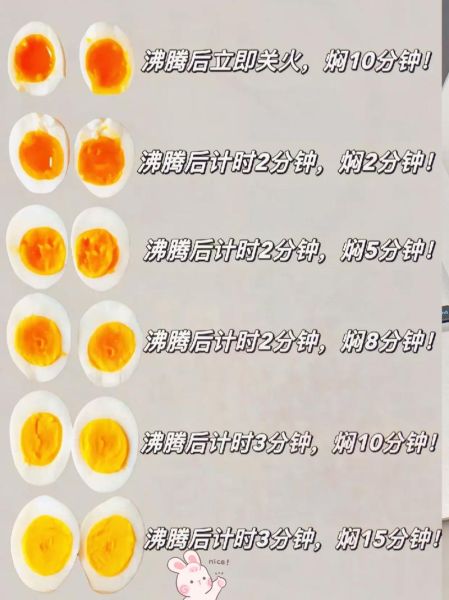 100度开水煮鸡蛋多久熟_溏心与全熟时间差-第3张图片-山城妙识