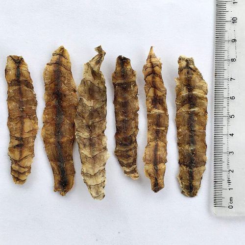 濑尿虾干怎么做好吃_濑尿虾干做法大全-第3张图片-山城妙识