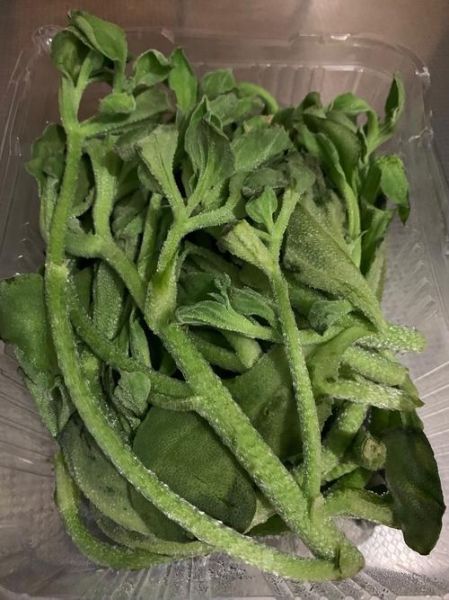 冰草沙拉酱怎么做_冰草沙拉酱做法窍门-第1张图片-山城妙识