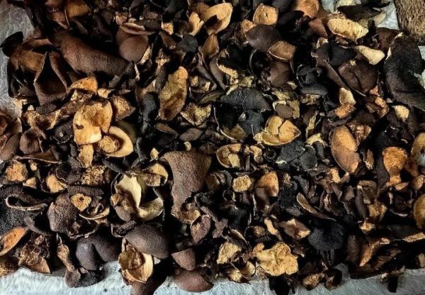 九制陈皮怎么做_家庭自制九制陈皮步骤-第2张图片-山城妙识 九制陈皮怎么做_家庭自制九制陈皮步骤-第2张图片-山城妙识