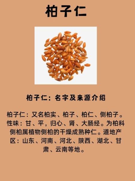 柏子仁的功效与作用_柏子仁主治什么病-第1张图片-山城妙识
