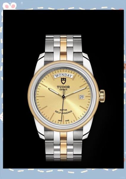 tudor是什么牌子_帝舵手表什么档次-第2张图片-山城妙识