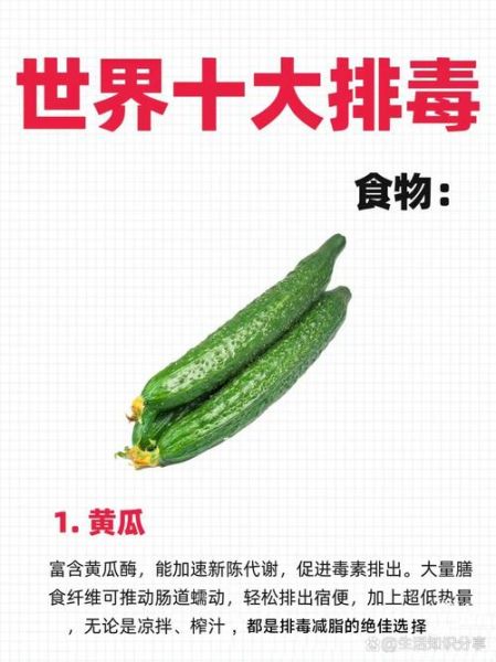 排毒最快的三种菜有哪些_怎么吃效果最好-第2张图片-山城妙识