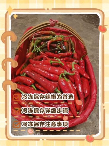 自制辣椒酱可以放多久_常温冷藏冷冻区别-第1张图片-山城妙识