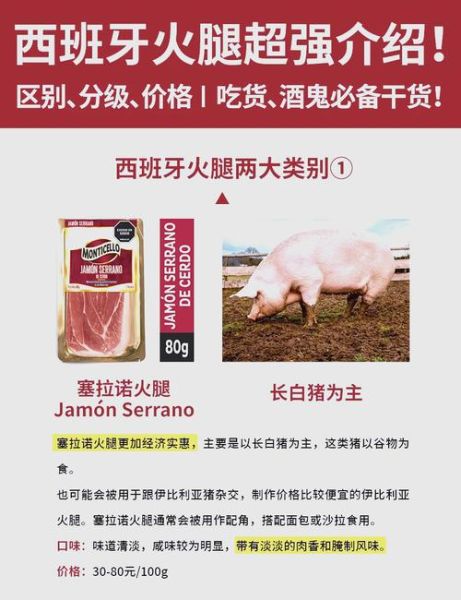 火腿火腿西班牙完整版哪里看_火腿火腿西班牙完整版剧情解析-第1张图片-山城妙识