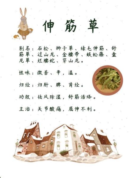 伸筋草的功效与作用_伸筋草能治什么病-第1张图片-山城妙识