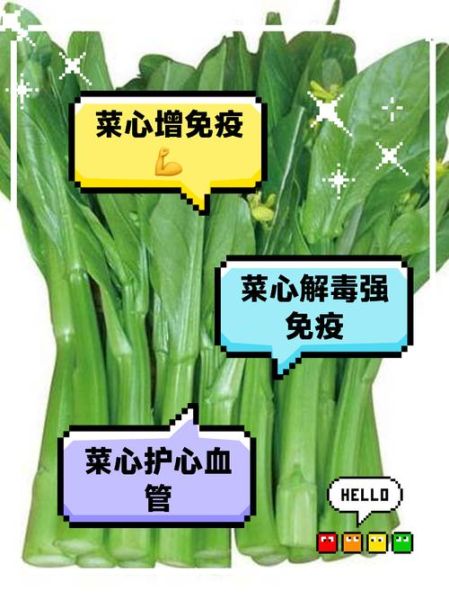 菜心的营养价值有哪些_菜心热量高吗-第1张图片-山城妙识 菜心的营养价值有哪些_菜心热量高吗-第1张图片-山城妙识