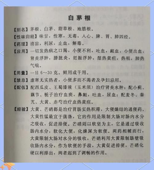 白茅根的功效与作用_白茅根能治哪些病-第1张图片-山城妙识