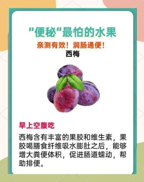 养胃的水果有哪些_养胃的食物有哪些-第3张图片-山城妙识
