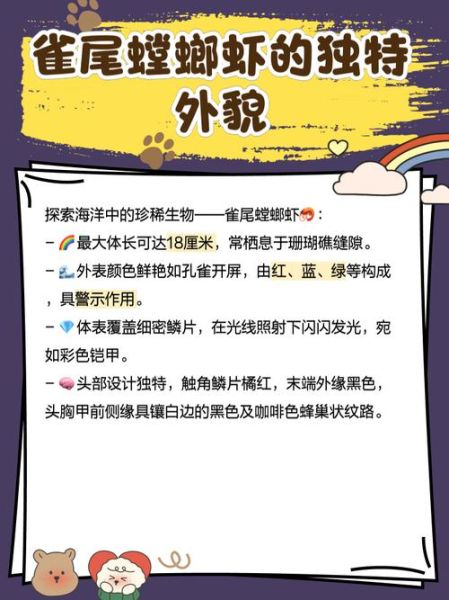 雀尾螳螂虾怎么养_雀尾螳螂虾饲养条件-第2张图片-山城妙识