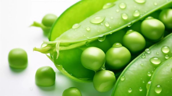 豌豆荚官方下载ios怎么下_豌豆荚ios版在哪下载-第2张图片-山城妙识 豌豆荚官方下载ios怎么下_豌豆荚ios版在哪下载-第2张图片-山城妙识