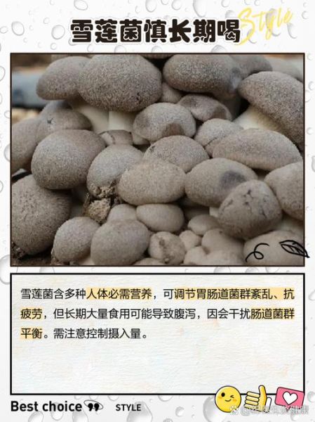 雪莲菌什么人不能吃_雪莲菌禁忌人群有哪些-第2张图片-山城妙识 雪莲菌什么人不能吃_雪莲菌禁忌人群有哪些-第2张图片-山城妙识