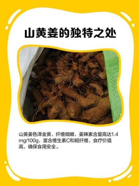 野生黄姜的功效与作用_野生黄姜怎么吃效果最好-第1张图片-山城妙识