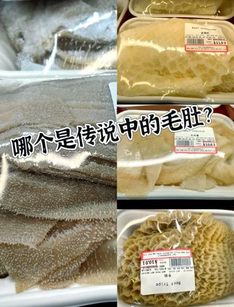 白毛肚是什么动物身上的_白毛肚和牛肚区别-第1张图片-山城妙识