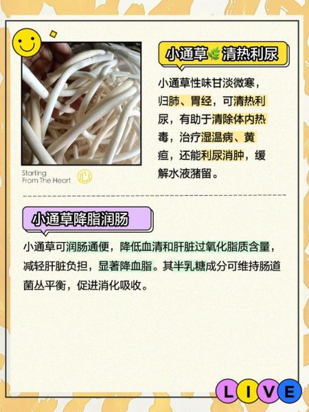 小通草和大通草的区别_哪个更好-第1张图片-山城妙识