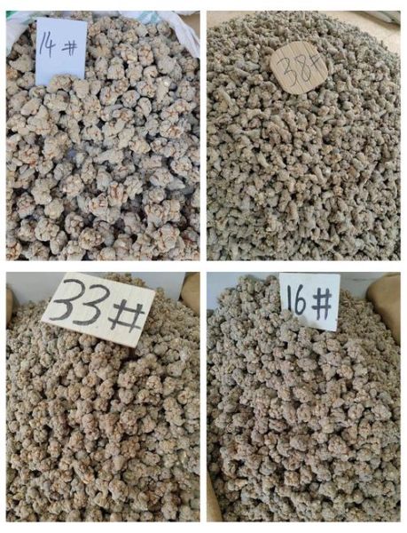 三七图片真假鉴别_三七图片高清细节图-第3张图片-山城妙识