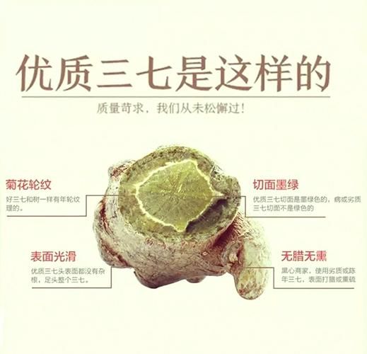 三七图片真假鉴别_三七图片高清细节图-第1张图片-山城妙识